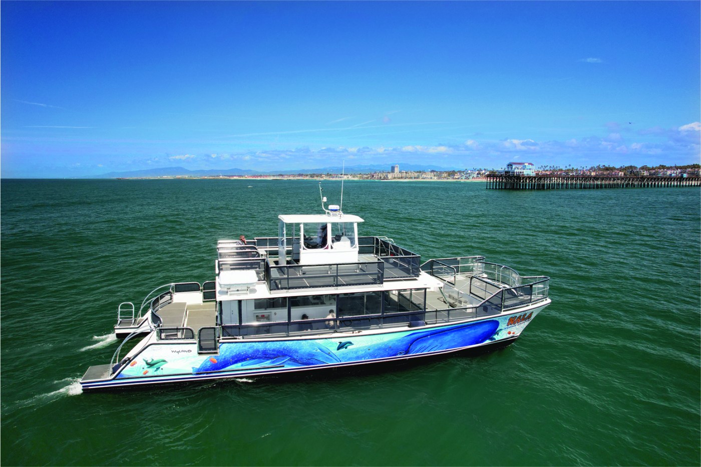 Oceanside Whale Watching: Luxury Tours Aboard Nala